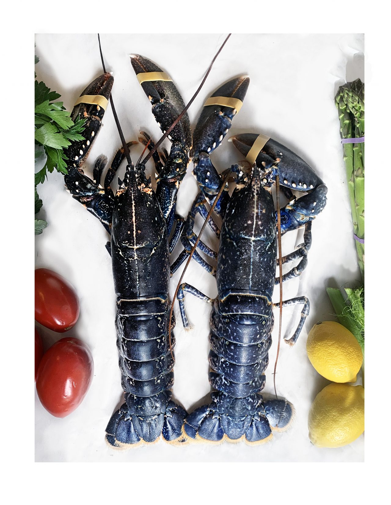 Lockdown Lobsters | Delivered live to London | Fresh Seafood